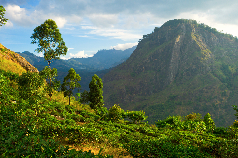 Lastminuter - Egzotyczny raj pod palmami: Sri Lanka, 5* hotel ze ...